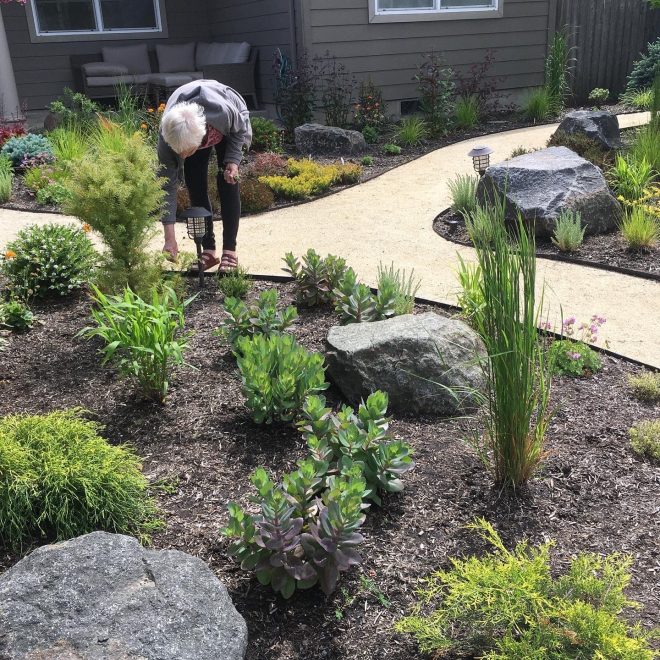 Pacific Horticulture | Low Maintenance Gardens - Better for Pollinators ...