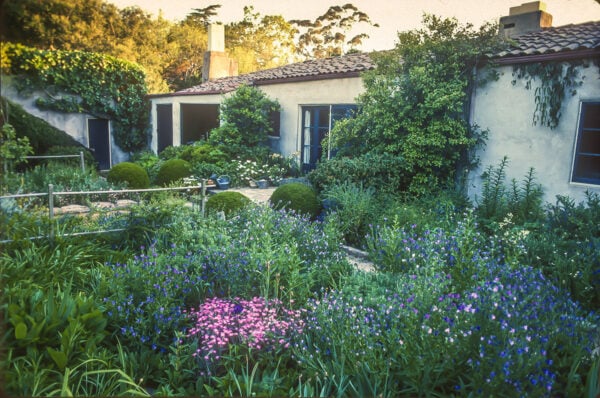 Pacific Horticulture | Lockwood de Forest III