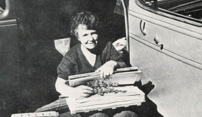 Pacific Horticulture | Lester Rowntree — A Hardy Californian