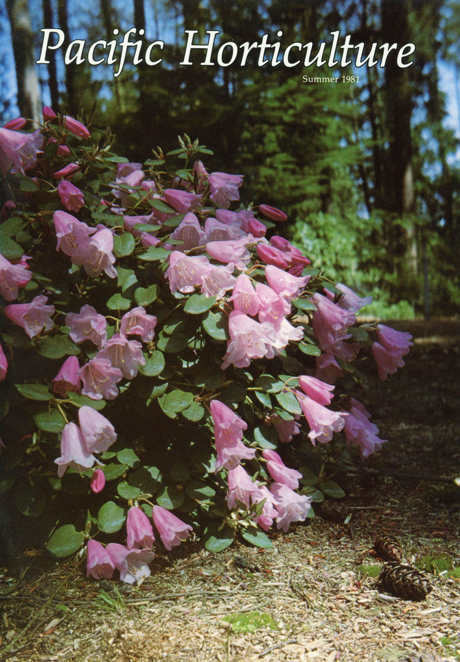 Pacific Horticulture | Summer 1981