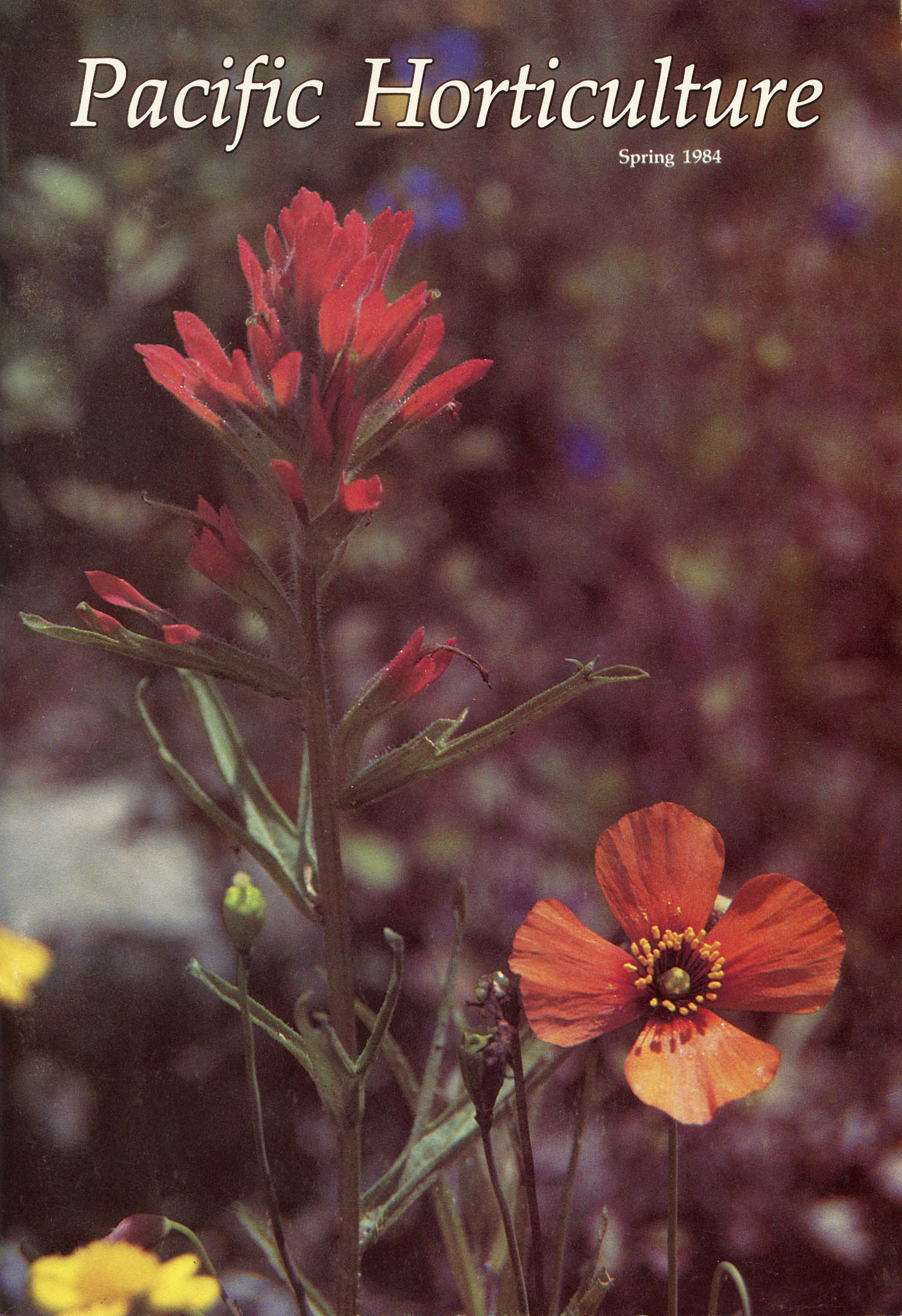 Pacific Horticulture | Spring 1984