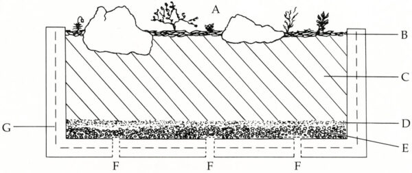 Pacific Horticulture | Trough Gardening