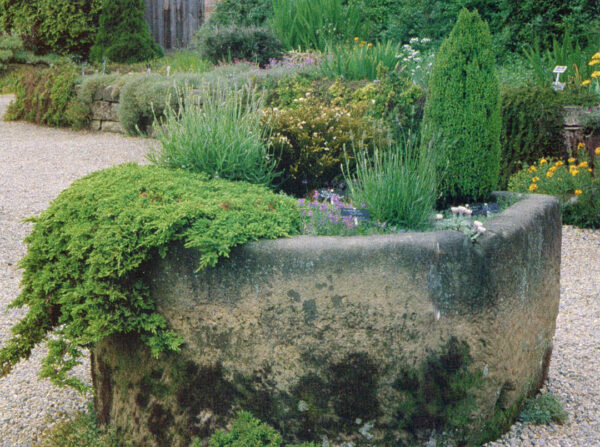 Pacific Horticulture | Trough Gardening