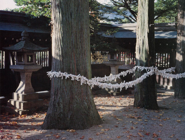 Pacific Horticulture | Lessons From the Japanese Garden