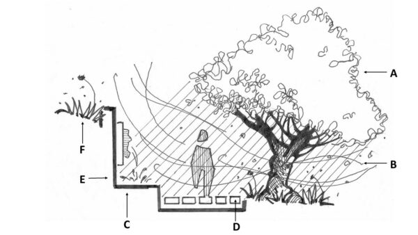 Pacific Horticulture | Designing for Thermal Comfort and Cooling