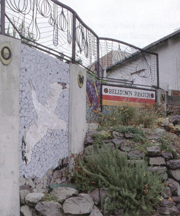 Pacific Horticulture | Seattle's P-Patch Program