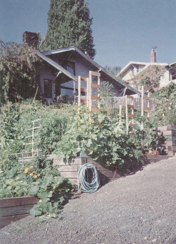 Pacific Horticulture | Seattle's P-Patch Program