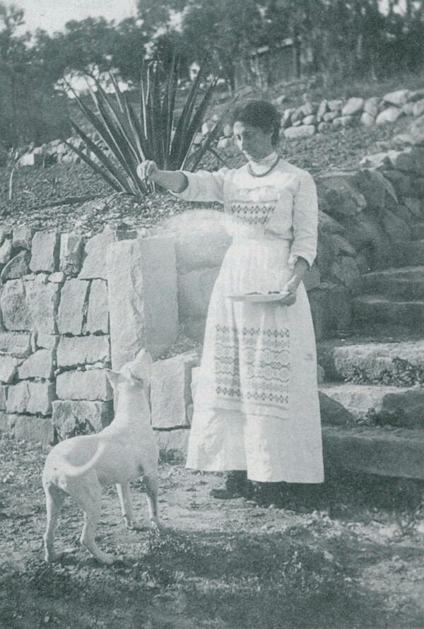 Pacific Horticulture | The Life of Dr Francesco Franceschi and his Park ...