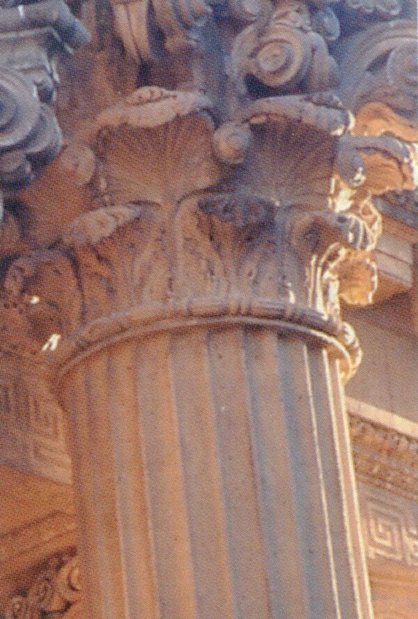 Pacific Horticulture | Wildly Successful: Acanthus mollis