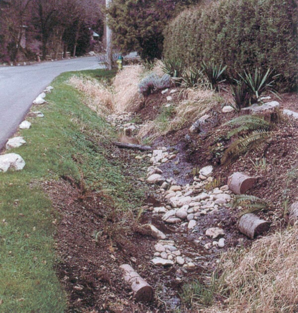 Pacific Horticulture | Horticulture Beyond the Backyard: A Tale of ...