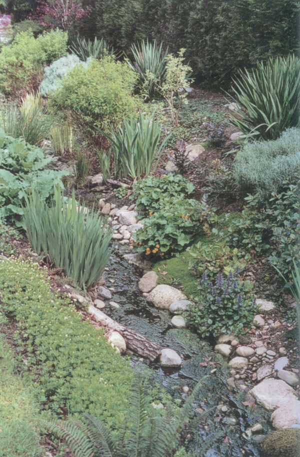 Pacific Horticulture | Horticulture Beyond the Backyard: A Tale of ...