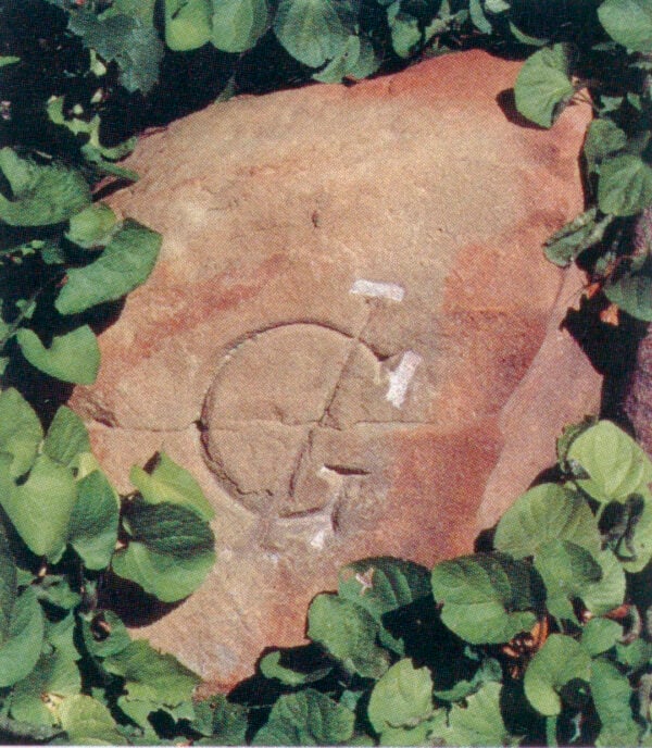 Pacific Horticulture | Isabelle Greene: Botanist, Artist, and Landscape ...