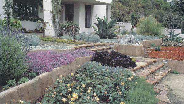 Pacific Horticulture | Isabelle Greene: Botanist, Artist, and Landscape ...