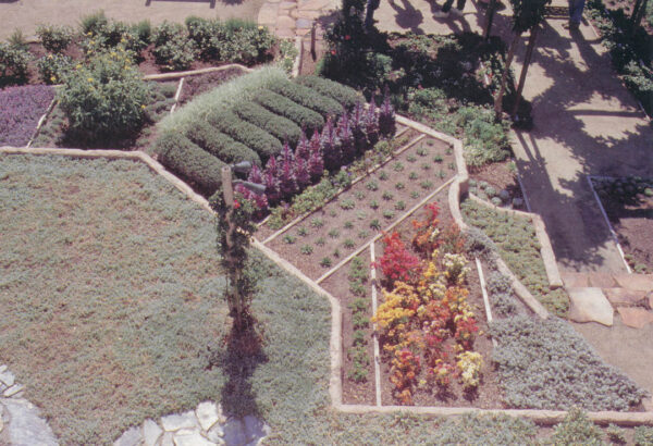 Pacific Horticulture | Isabelle Greene: Botanist, Artist, and Landscape ...