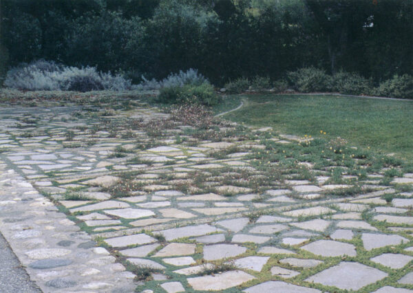 Pacific Horticulture | Isabelle Greene: Botanist, Artist, and Landscape ...