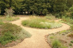 Pacific Horticulture | The Woodside Library Native Plant Garden