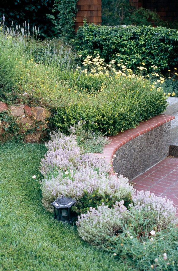 Pacific Horticulture | The Foundations of Lee's Garden: Topography ...