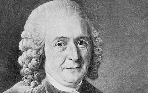 Pacific Horticulture | Linnaeus at 300