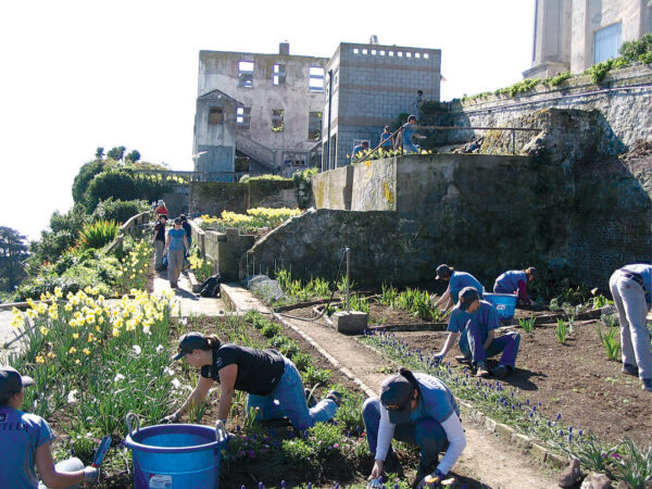 Pacific Horticulture | Gardens Tell the Other Story of Alcatraz