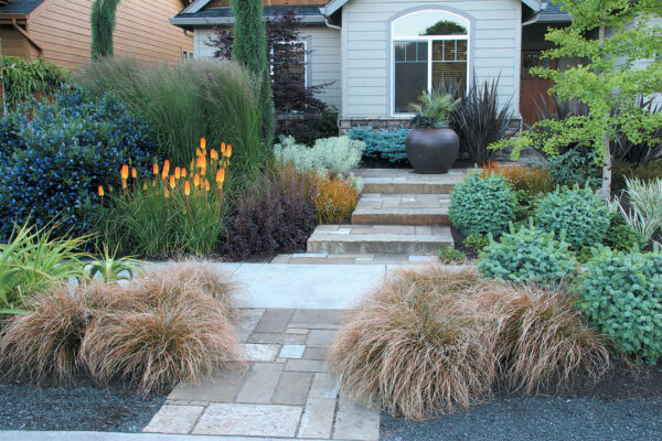 Pacific Horticulture | Character Building