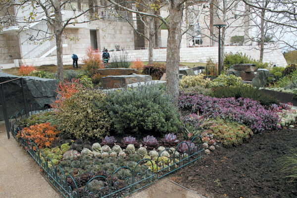 Pacific Horticulture | Seeing by Experiencing: The Central Garden at ...