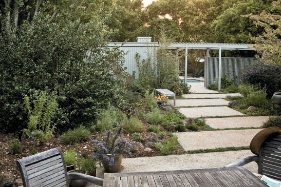 Pacific Horticulture | The Evolution of a Native Garden