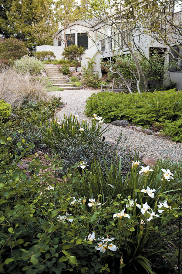 Pacific Horticulture | The Evolution of a Native Garden