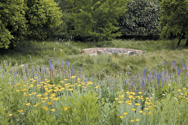 Pacific Horticulture | Meadows