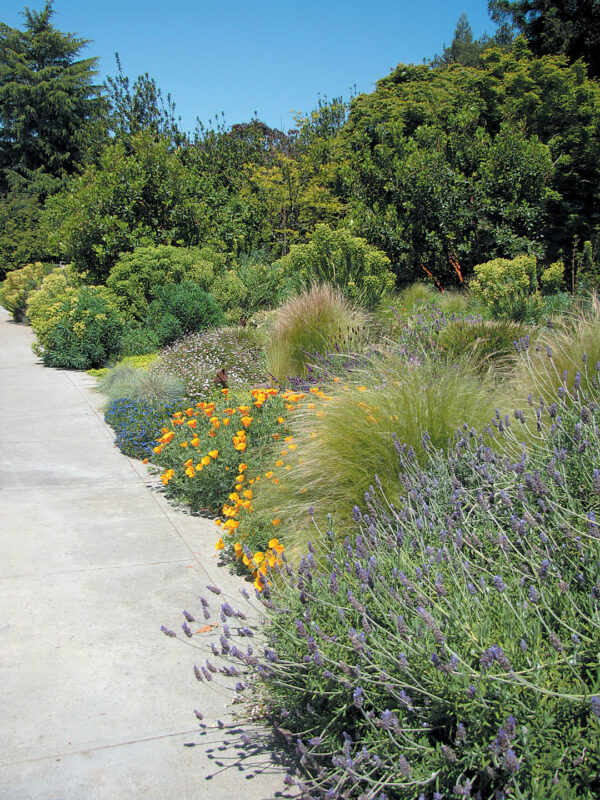 Pacific Horticulture | Garden Metaphor