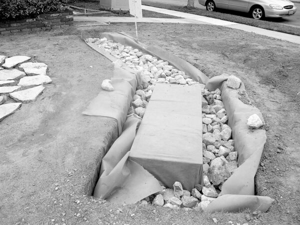 Pacific Horticulture | A Colorful, California-Friendly Garden