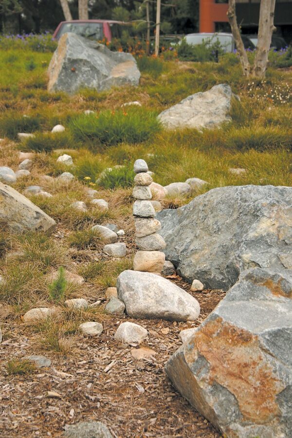 Pacific Horticulture | A Beautiful Landscape for California