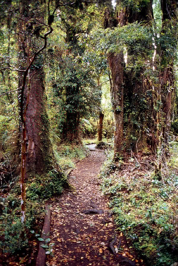 Pacific Horticulture | An Introduction to the Geography, Climate, and ...