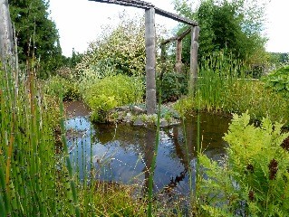 Pacific Horticulture | Nurturing Plants & Gardeners