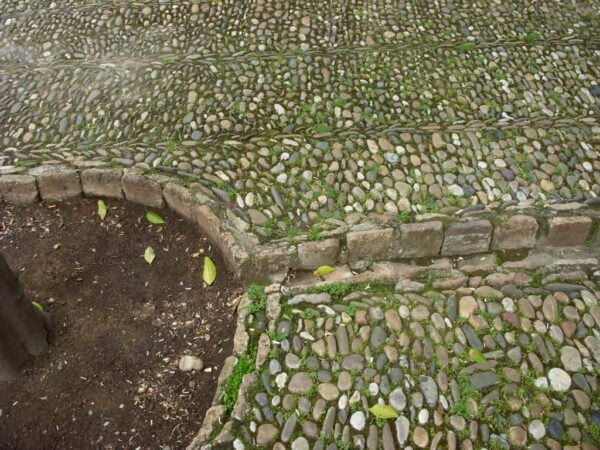 Pacific Horticulture | Photo Gallery: Water Use in Andalusia