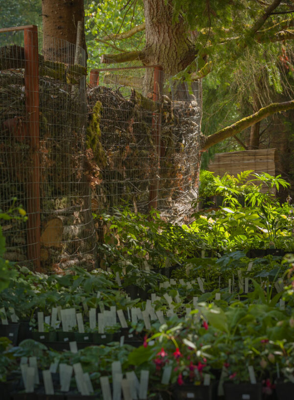 Pacific Horticulture | Compost Happens