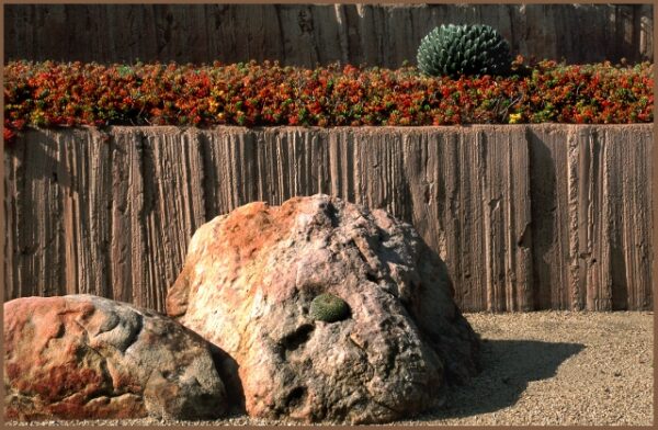 Pacific Horticulture | Women in the Dirt