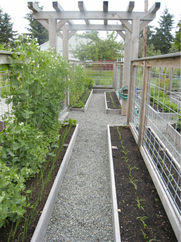 Pacific Horticulture | Defending Dinner