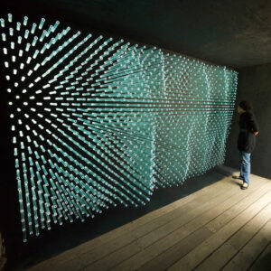 Pacific Horticulture | Natural Discourse: A Provocative Exhibit at UC ...