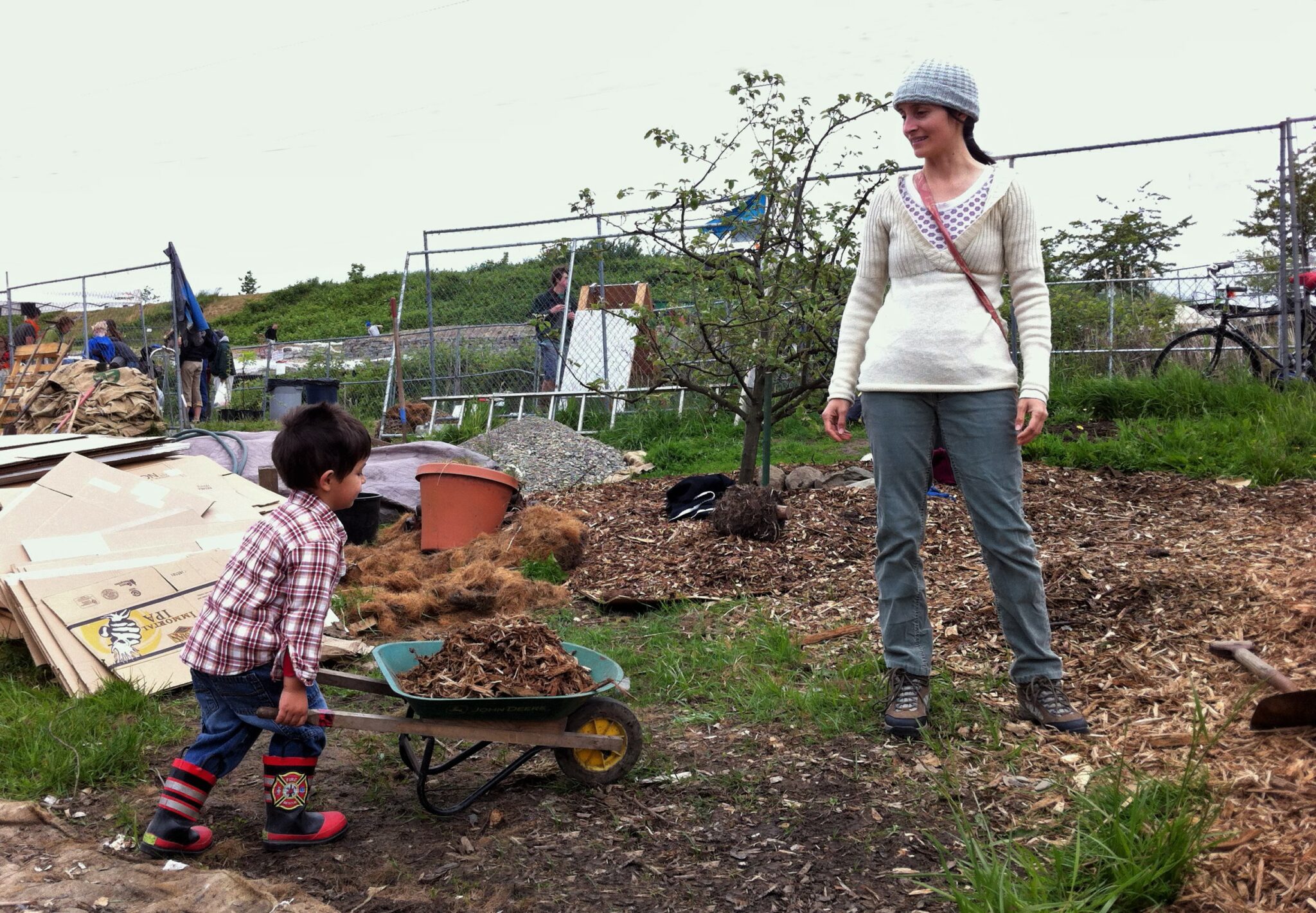 Pacific Horticulture | At 10, Seattle’s Pioneering Food Forest Pivots ...