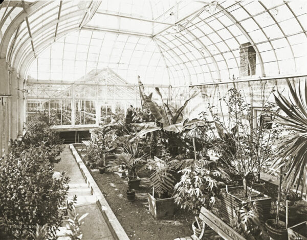Pacific Horticulture | Historic Renewal
