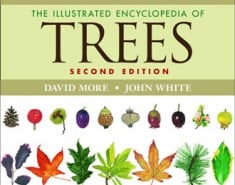 Pacific Horticulture | The Illustrated Encyclopedia of Trees