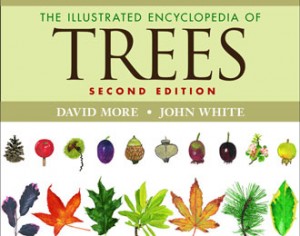 Pacific Horticulture | The Illustrated Encyclopedia of Trees