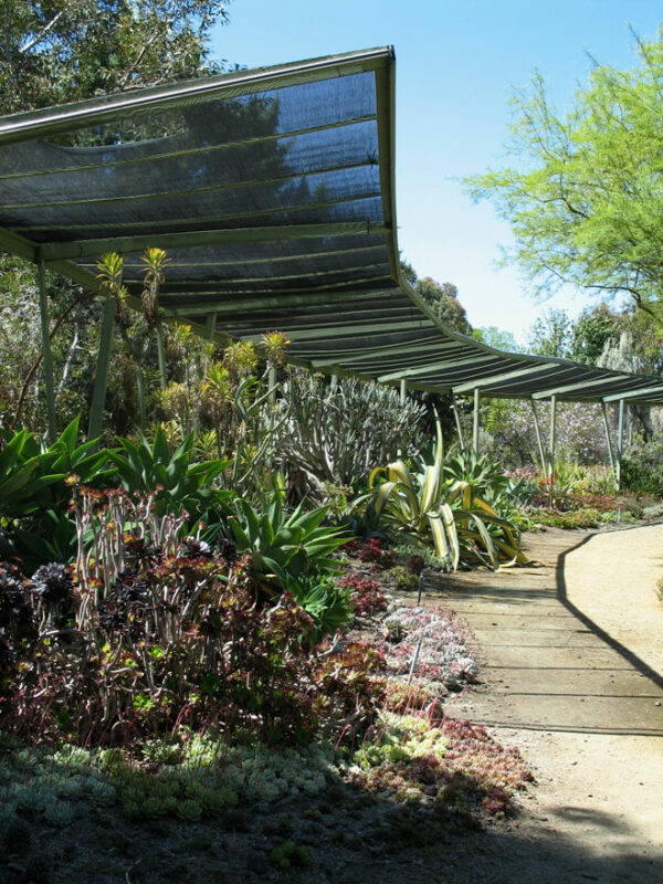 Pacific Horticulture | "Hooray for Shade!"