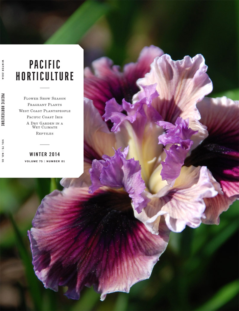 Pacific Horticulture | Winter 2014