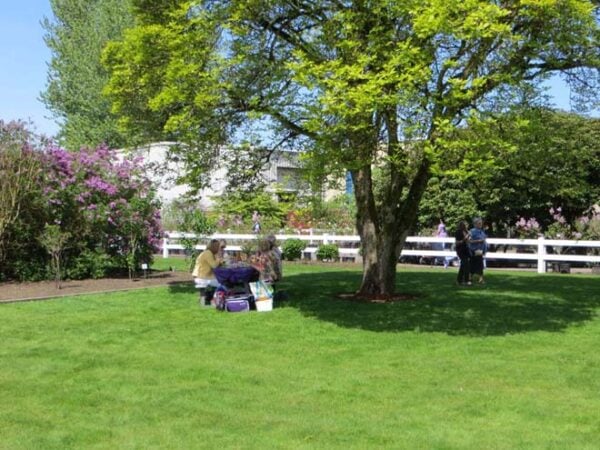 Pacific Horticulture | Hulda Klager Lilac Garden