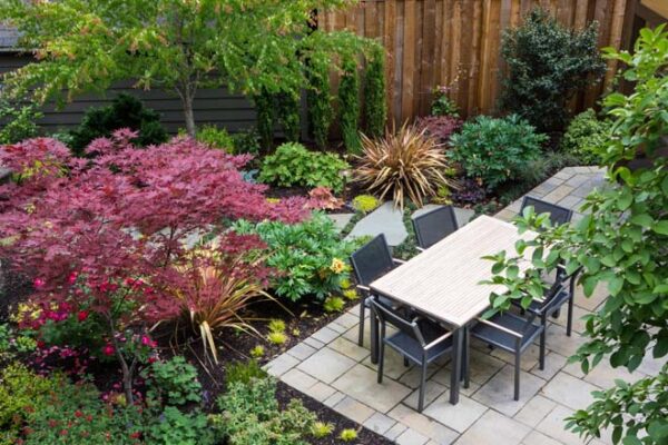 Pacific Horticulture | Designing Dreams