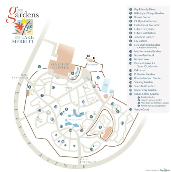 Pacific Horticulture | The Gardens at Lake Merritt