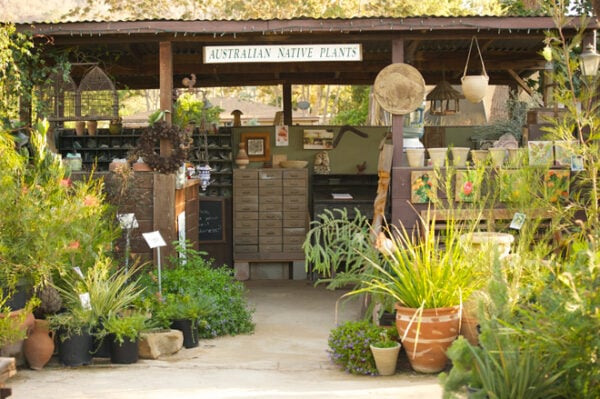 Pacific Horticulture | Your Garden: Australia Native Plants