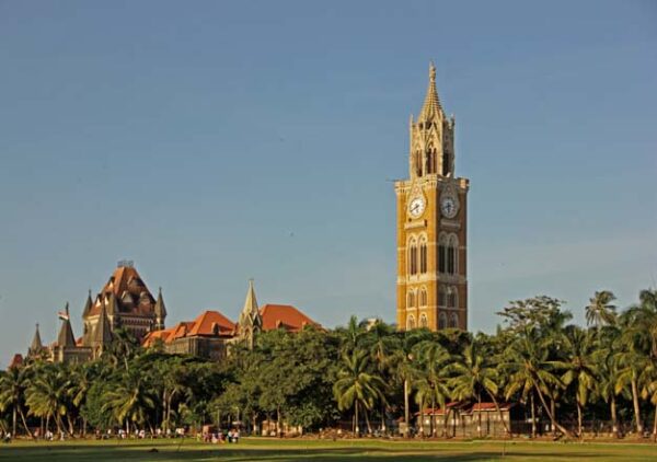 Pacific Horticulture | First Trees