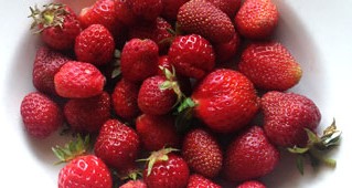 Pomegranate, the Crown Royal of all Fruit